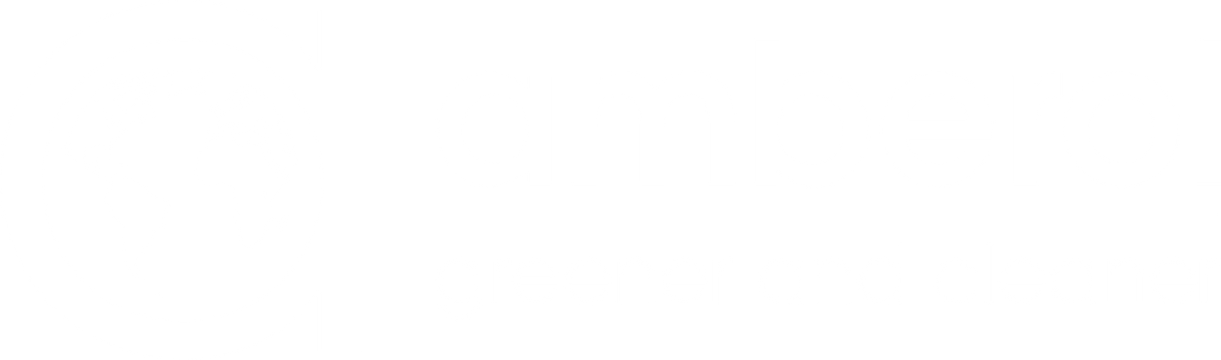 Self Watering Planters – Amberol