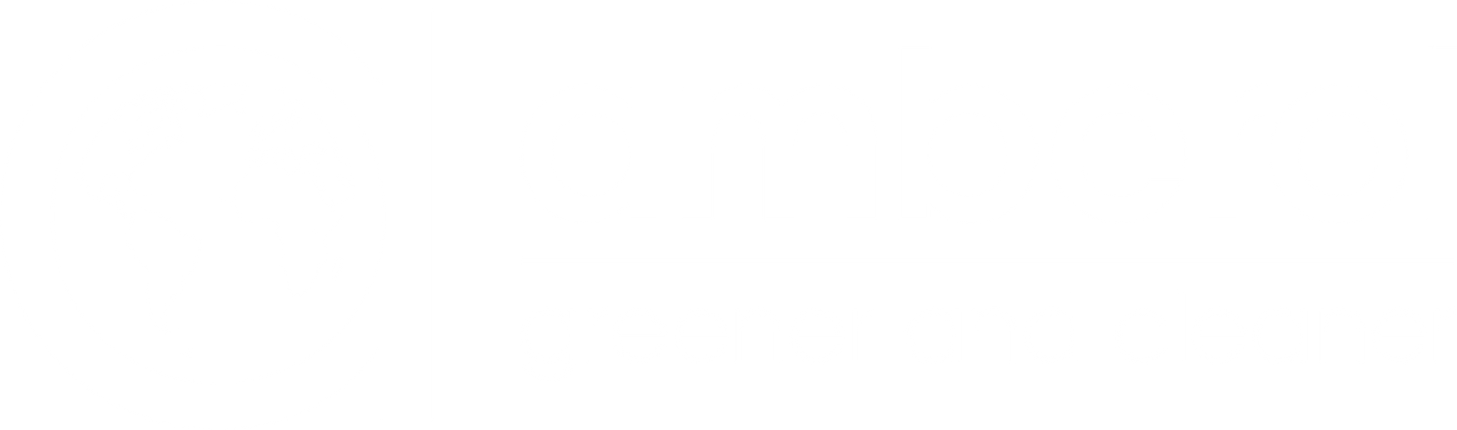 Self Watering Planters – Amberol